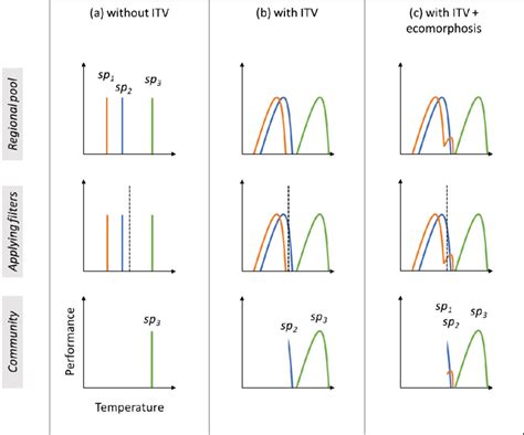 3 Illustration Of Intraspecific Trait Variability Itv And Download Scientific Diagram