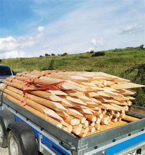 Vând pari pt gard electric gradina vie Huedin OLX ro