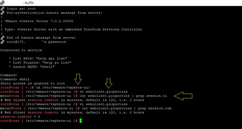 Disable Vsphere Client Session Timeout For Monitoring Purposes
