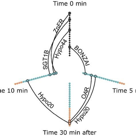 Hive Plot Depiction Of Statistical Differences Of Candidate Gene Marker