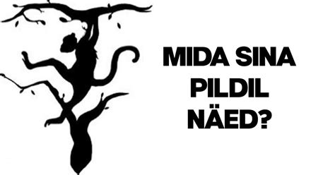 Isiksusetest See Mida Sa Esimesena Pildil Näed Võib Näidata Milles