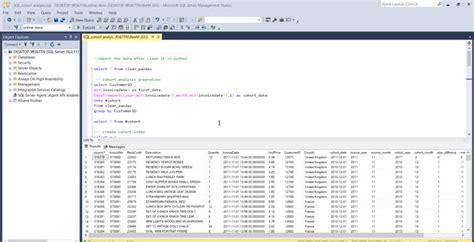 Reem Khaled On Linkedin New Project Using Sql ️ Its Personal Project Cohort Analysis For Online
