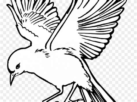 Canary Bird Vector At Collection Of Canary Bird