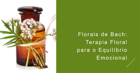 Floral De Bach Abordagem Natural Para O Bem Estar Arzen
