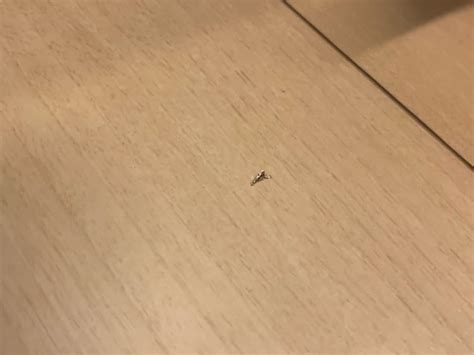 賃貸アパートのフローリング床の傷を補修する方法！多少のへこみやえぐれも簡単に隠せるイージーリペアキットがおすすめ 金のなる木で大家生活