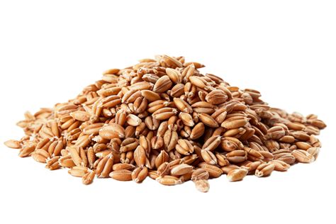 Ai Generated Pile Of Whole Grain Wheat Kernels Png 41042877 Png