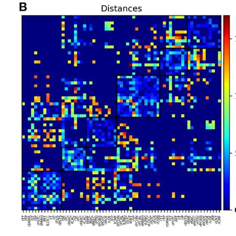 Structural Properties Of The Human Connectome A The Normalized
