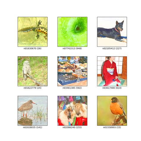 Imagenet Corrupted Tensorflow Datasets