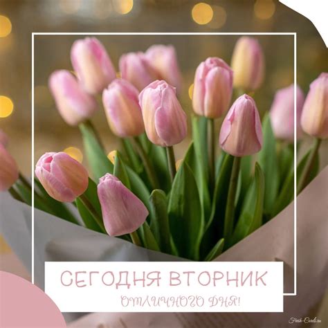 Вторник картинки прикольные с надписями и открытки со вторником
