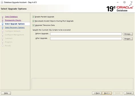 Oracle 12c To 19c Database Upgrade Using Dbua Bizanalytix
