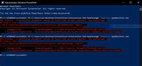 Powershell A Positional Parameter Cannot Be Found That Accepts
