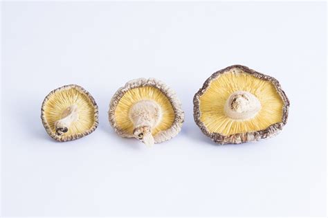 生しいたけの10倍！干し椎茸の栄養素・栄養成分を徹底解説 姫野一郎商店 明治十年創業