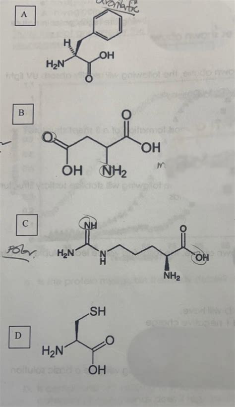 Solved A B C D Of The Structures Shown Above The Chegg