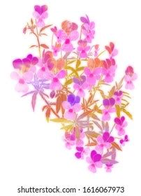 150 Tricolor Herbal Design Images Stock Photos Vectors Shutterstock