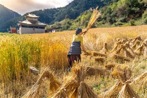 New Evidence For How Languages Spread 10000 Years Ago United States