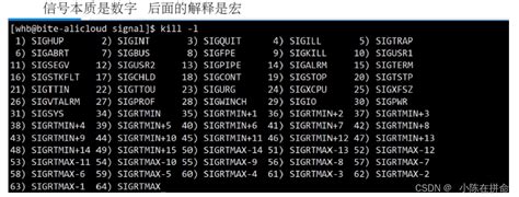 Linux系统编程：信号的预备和产生 Csdn博客