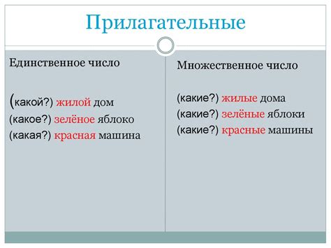Единственное и множественное число имён прилагательных Online