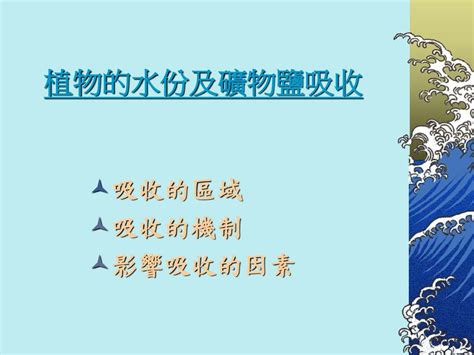 植物的水份及礦物鹽吸收 吸收的區域 吸收的機制 影響吸收的因素 ppt download