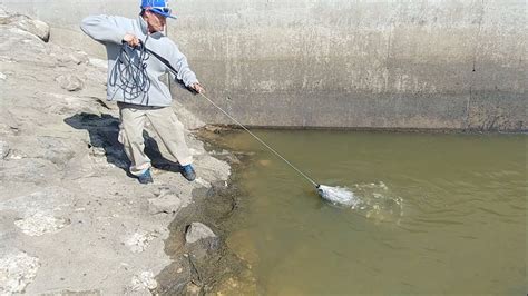 Catching Lot Of Fish Using Cast Net Ep 82 Youtube