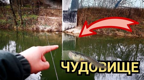 ХВАНАХ ОГРОМНА РИБА в МАЛКА РЕКИЧКА Youtube