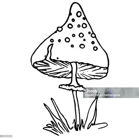 Gambar Tangan Doodle Jamur Amanita Ditata Untuk Buku Mewarnai Ilustrasi