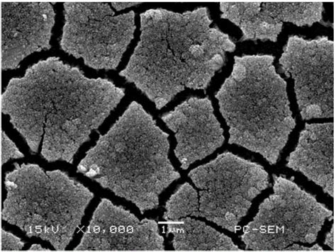 一种孤岛状原位碳包覆氧化铁光阳极复合膜的制备方法与流程