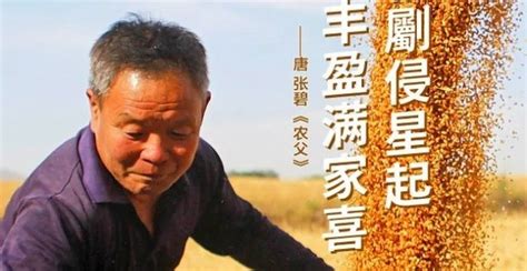 大国“粮”策｜夏粮迎丰收 麦香盈满仓！腾讯新闻