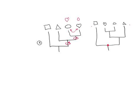 Solved Which Of The Evolutionary Trees Below Show Similar Evolutionary