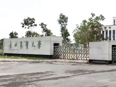 学姐干货 东北农业大学马克思主义理论专业703821考研经验分享 知乎