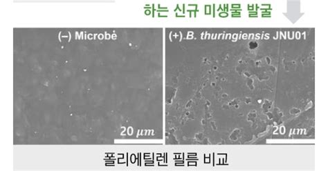전남대 연구팀 폴리에틸렌 분해 미생물 발견 플라스틱 문제 해결 실마리”