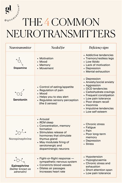 Chart Of Neurotransmitters And Their Functions