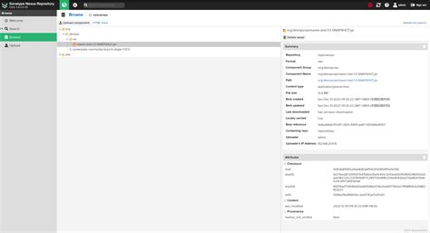 持续集成交付cicd：通过api方式上传nexus制品nexus Api Csdn博客