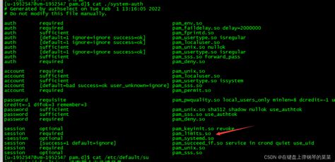 Centos7 Su 鉴定故障error解决方法su System Error Csdn博客