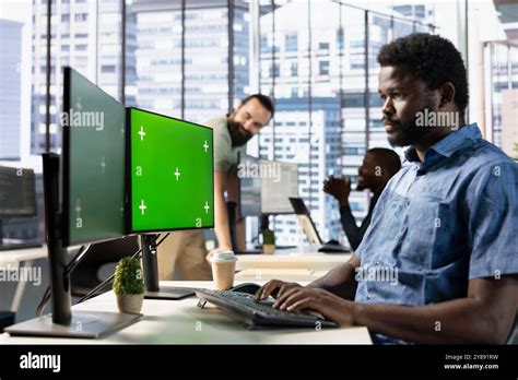 Focused Employee Analyzing Datasets On Green Screen Computer Comparing