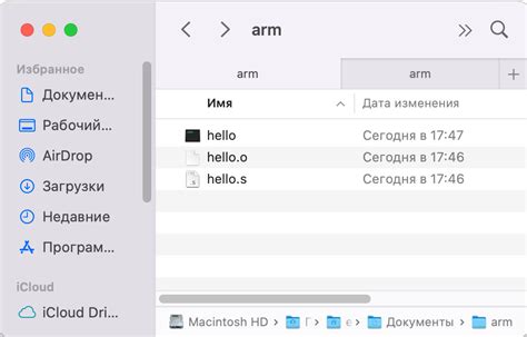 Ассемблер Arm64 Первая программа для Linux Arm64 и Android на Macos