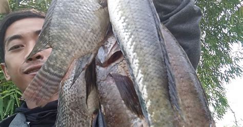 CARA MUDAH MERUBAH SENAPAN ANGIN BIASA MENJADI SENAPAN PASER IKAN