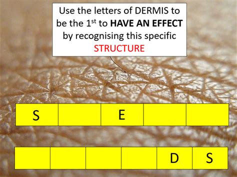 Thermoregulation Edexcel Gcse Biology Teaching Resources