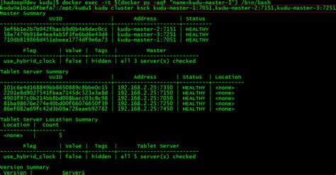 Kudu 基本架构、模式设计、docker部署 Csdn博客