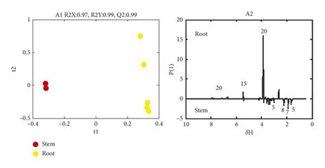 PLS DA Score Plot A E And Linear Loading Plot A E Of The Download Scientific Diagram