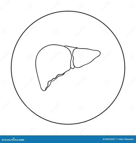 Menselijk Die Leverpictogram In Overzichtsstijl Op Witte Achtergrond