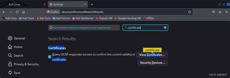 Kali Linux自带burpsuite使用kali Burpsuite Csdn博客