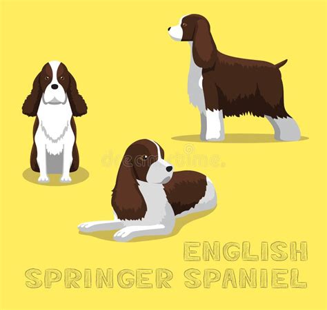 狗英国斯伯林格西班牙猎狗动画片传染媒介例证 向量例证 插画 包括有 交配动物者 西班牙猎狗 蹦跳的人 73117778