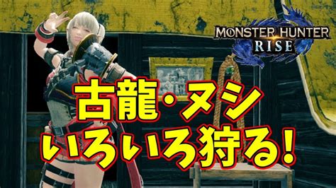 【mhrise参加型】いろんなモンスを狩ります！初見さんも初心者さんも下位の方も上位の方もお気軽に！ライブ配信中【モンハンライズ生放送・生