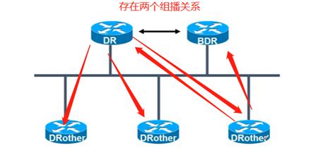 Ospf中的dr与bdr角色及其在网络优化中的作用 Csdn博客