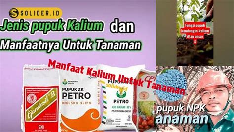 Temukan Manfaat Kalium untuk Tanaman yang Jarang Diketahui - Solider