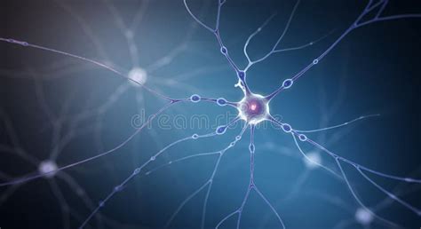 A Microscopic Illustration Of A Human Neuron In A Complex Neural Network Stock Illustration