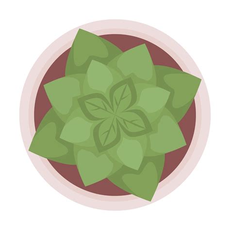 Succulent Plant Semi Flat Color Vector Object Potted Houseplant