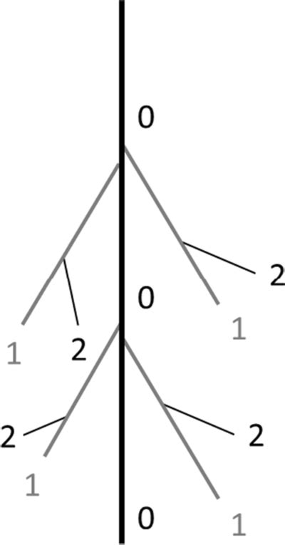 Schematic Diagram Of Root Topology According To Gravelius Ordering