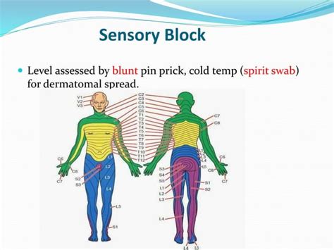 Subarachnoid Block Dr Amit 1pptx Subarachnoid Block Dr Amit 1pptx