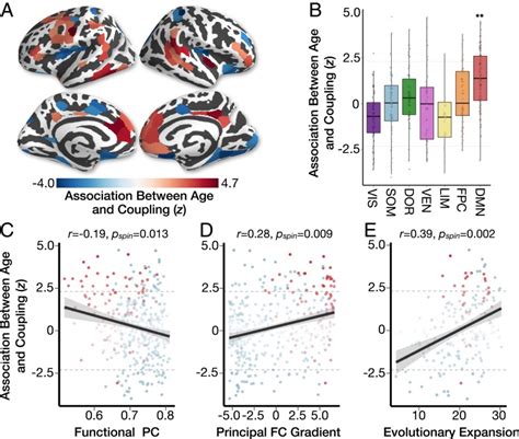 Development Of Structure Function Coupling In Human Brain Networks During Youth Abstract